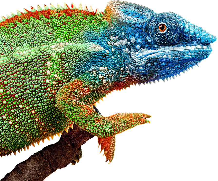 advanter® 5 elements | CRM/ERP-Software, die Freude auslöst